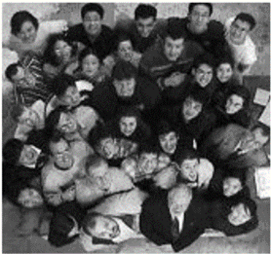 AASHTO vs Eurocode: Pedestrian Load Considerations in Bridge Design